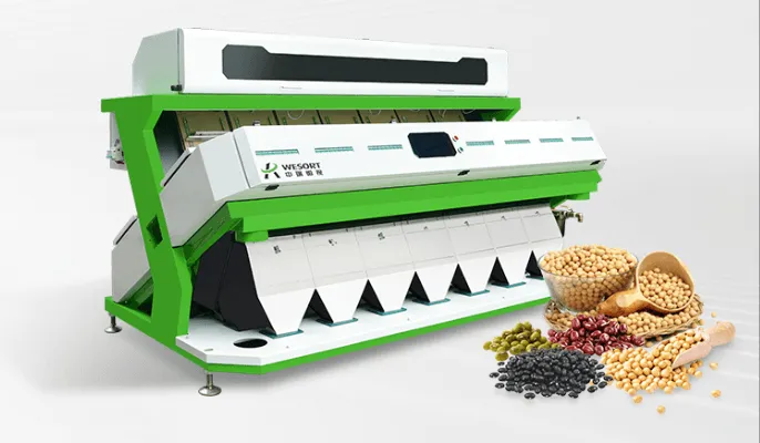 The Ultimate Guide to Beans Sorting and Selecting the Ideal Beans Color ...