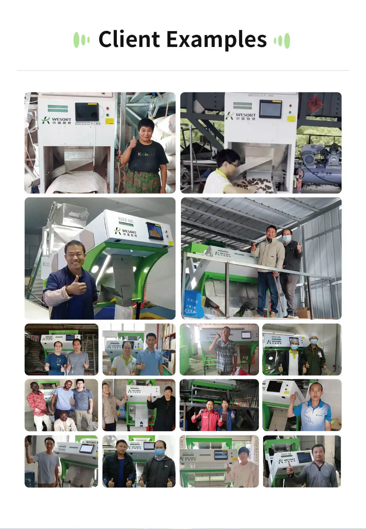 Coffee Color Sorter Machine -WESORT
