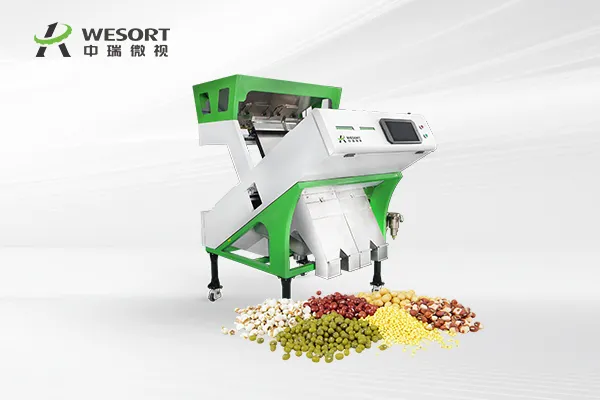 Hazelnut optical sorting machine | Best tools for nuts processing-WESORT
