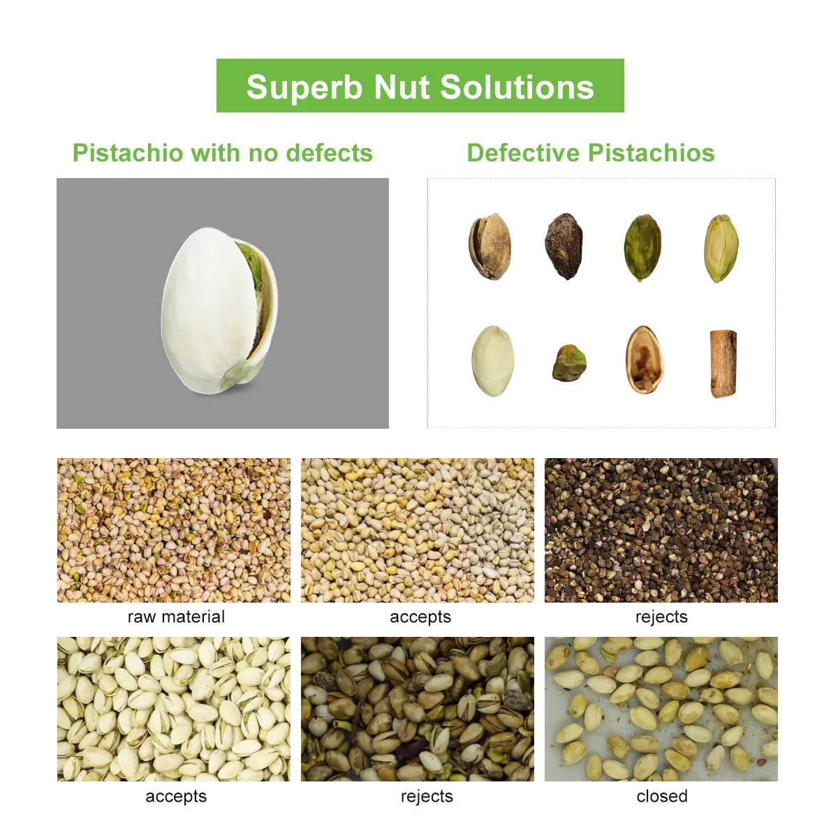 Pecan Color Sorter-WESORT