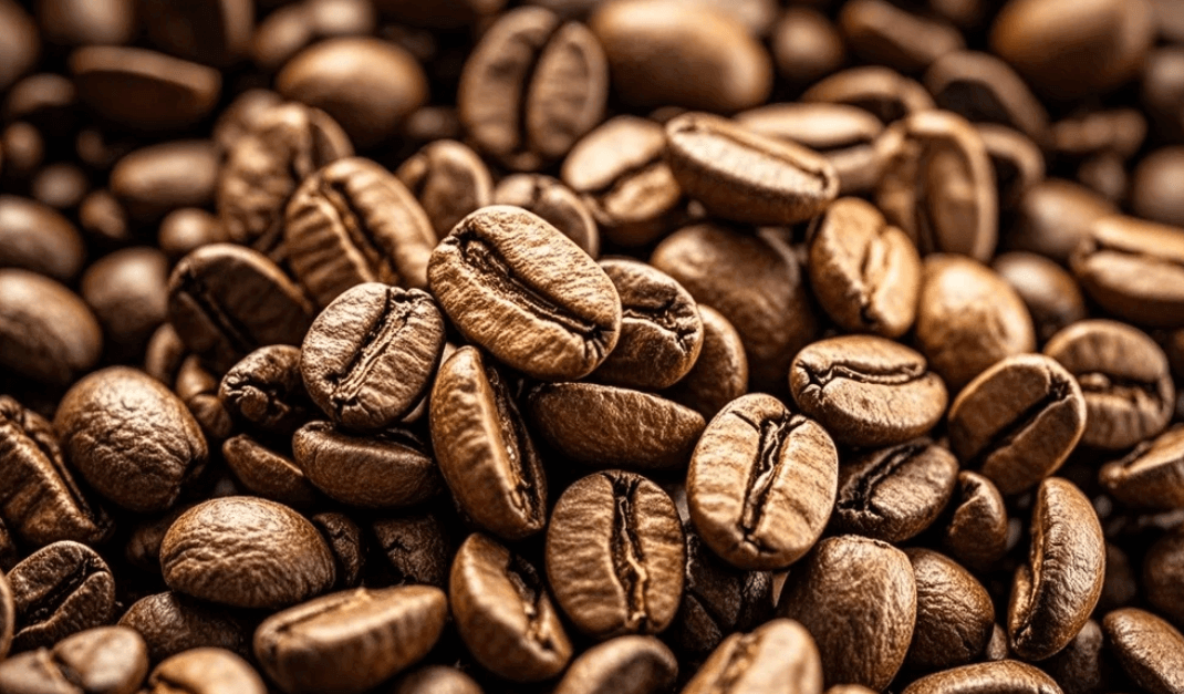 How Do European Coffee Processors Choose Optical Sorters?-WESORT