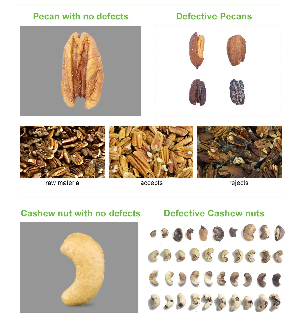 Pecan Color Sorter-WESORT