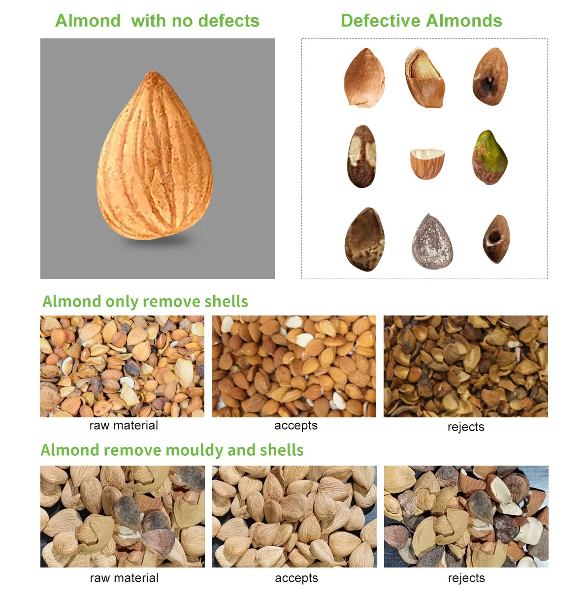 Almond Color Sorter-WESORT