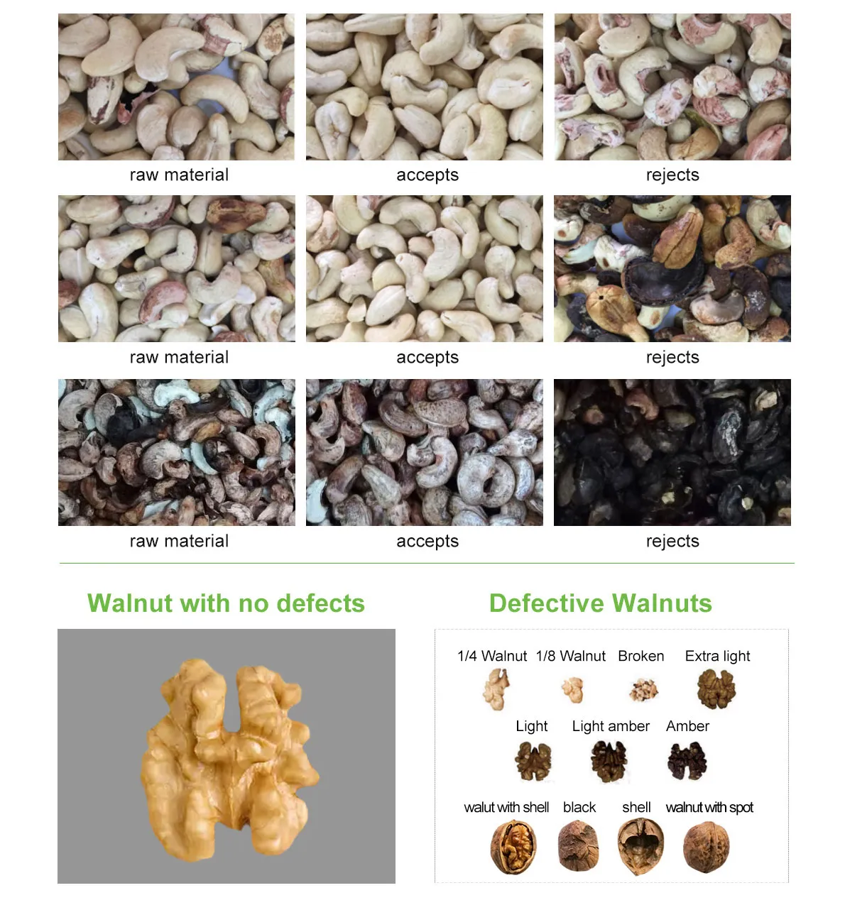 Pecan Color Sorter-WESORT