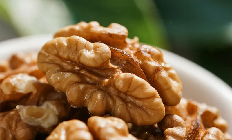 SURAT PEMBERITAHUAN-WESORT