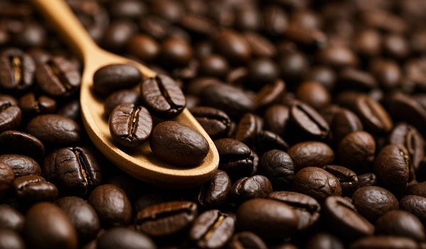 Advanced Coffee Color Sorting Solutions: Precision for Every Roast ...