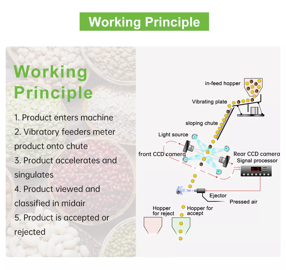Chickpea Color Sorting Sorter Machine,WESORT OPTOELECTRONIC