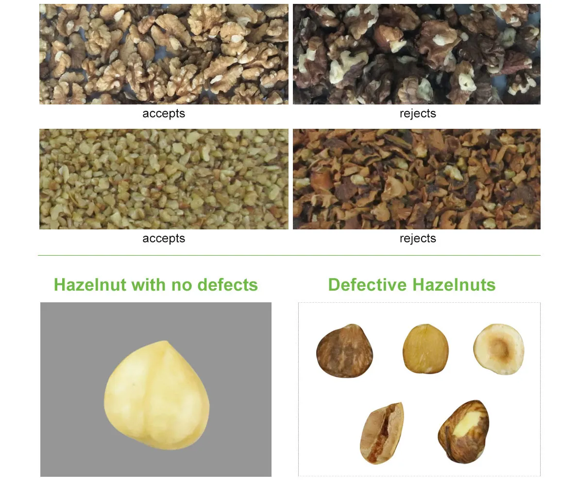 Pecan Color Sorter-WESORT