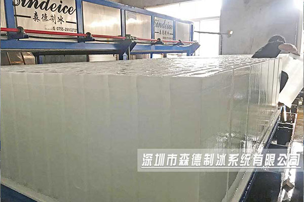 The Philippines 10 ton block ice machine, Southeast Asia. - Cases ...