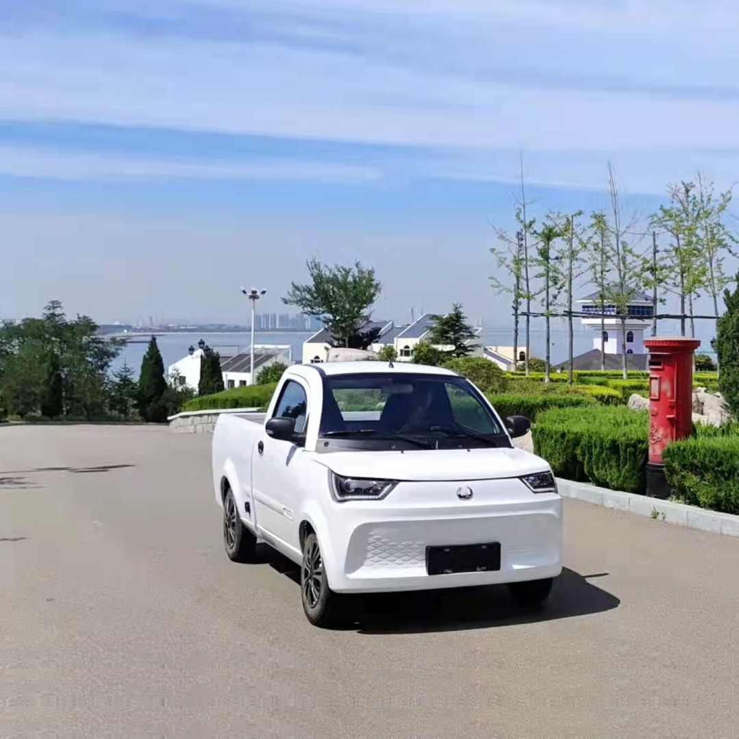 Yunlong Electric Cars Start A New Journey,Shandong Yunlong Eco Technologies