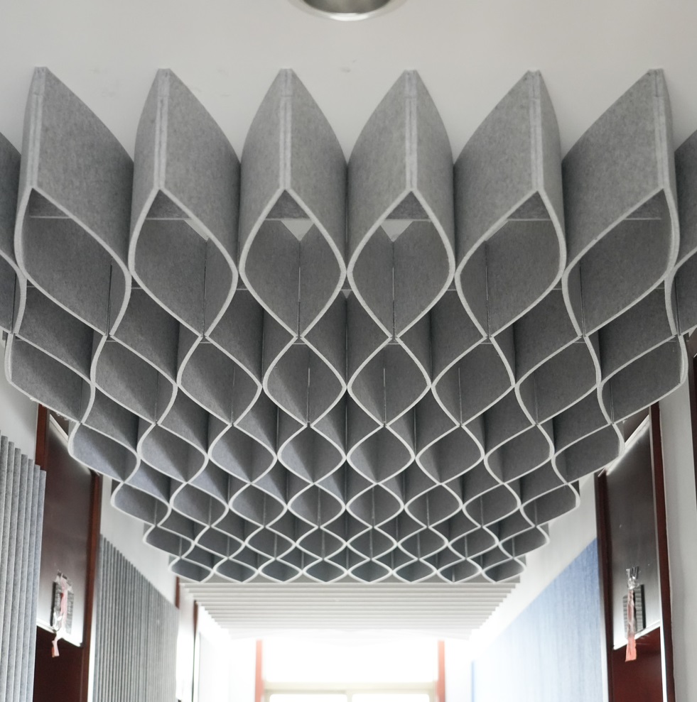 Curve Ceiling-Kingkus