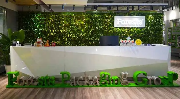 Custom Printed Retail Foldable Cardboard Bag-Forests Packaging