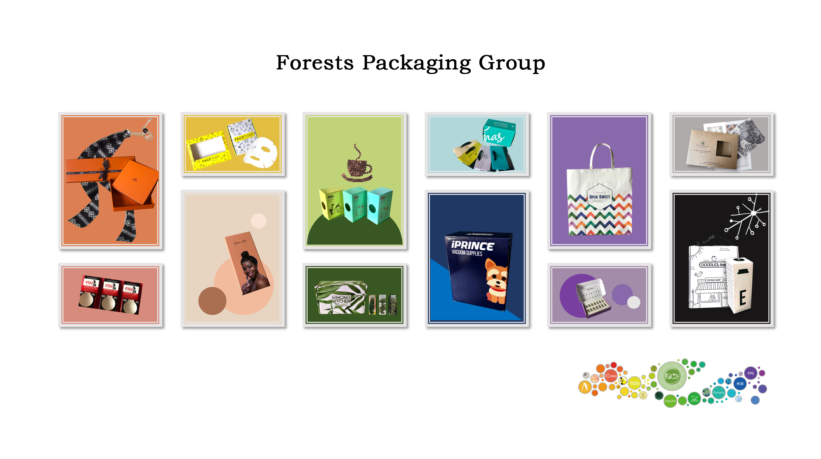 About FPG - Shanghai Forests Packaging Group