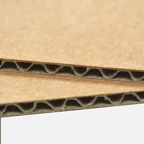 Custom Carton Boxes -Forests