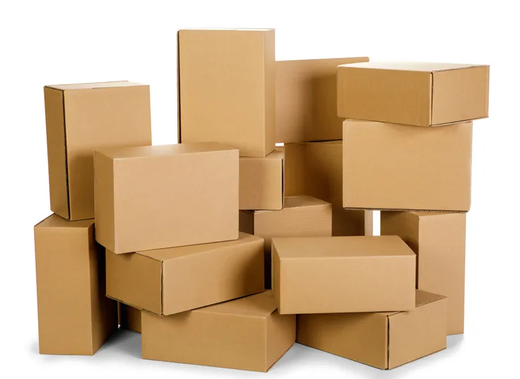 Packaging Samples: Get Product Packaging Samples-Forests