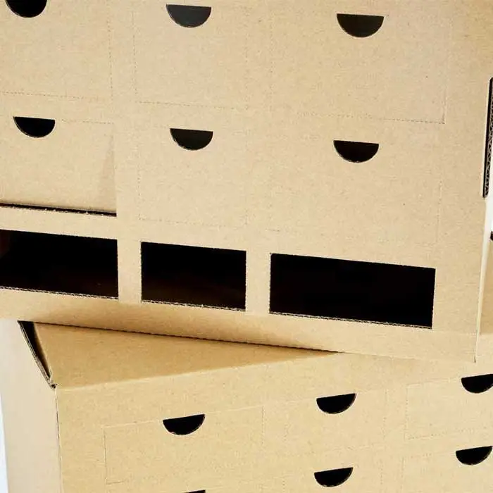 Custom Wholesale Blind Box Packaging-Forests