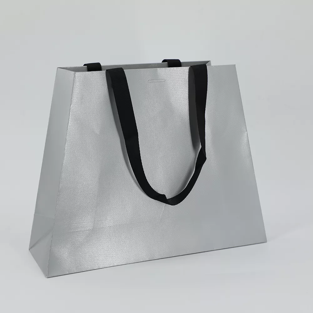 Customize Hot Sales Colorful Cardboard Bag with Handle-Forests