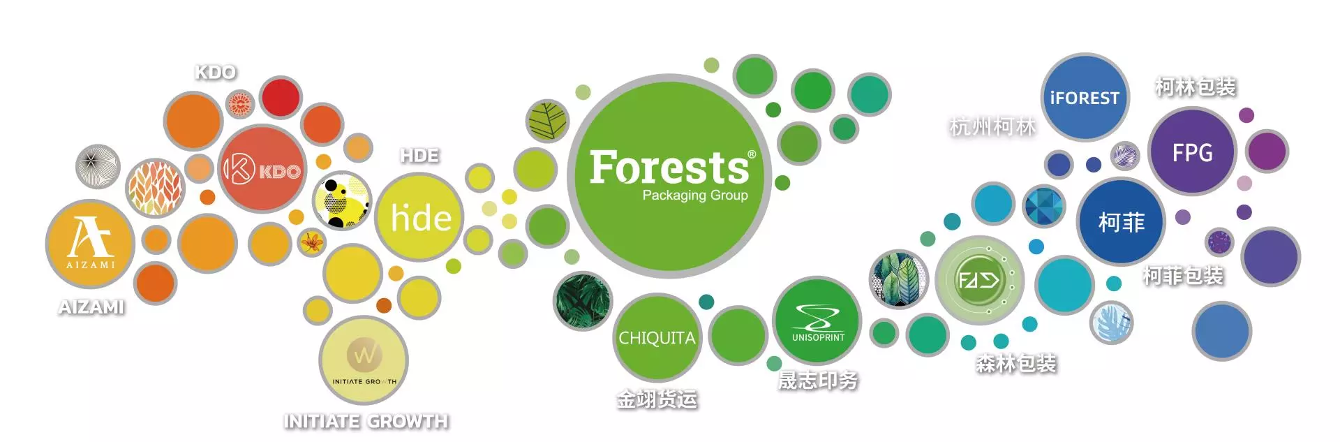 About FPG - Shanghai Forests Packaging Group