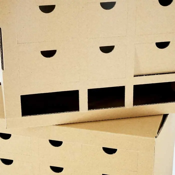 Custom Wholesale Blind Box Packaging-Forests