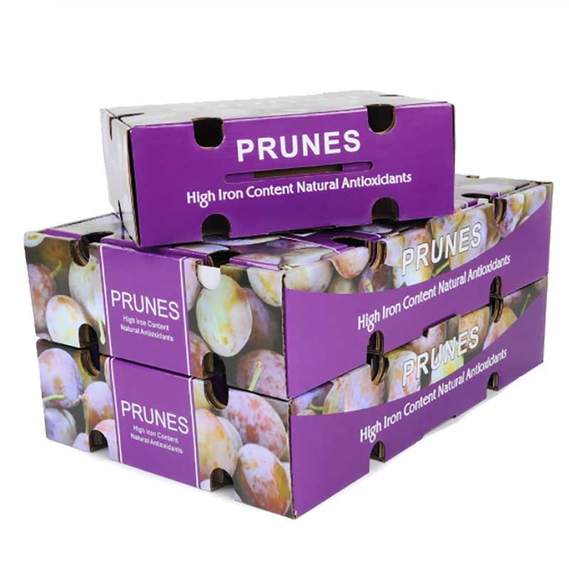 Custom Color Dry Fruit Transport Packing Box-Forests Packaging