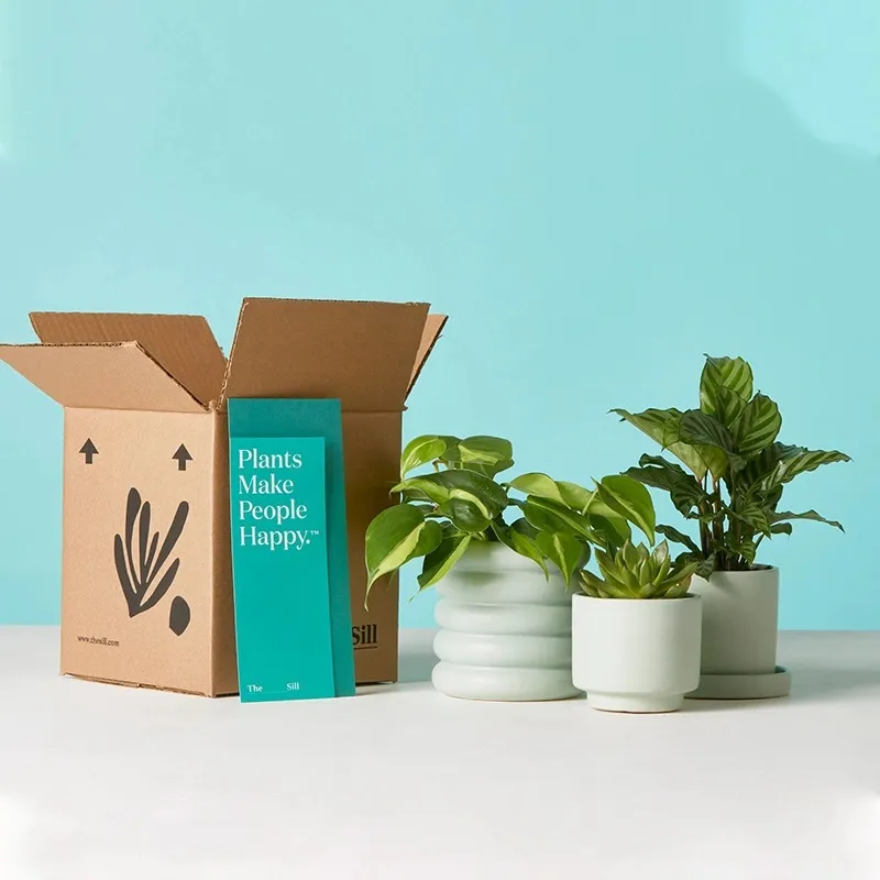 Custom Live Plant Corrugated Shipping Boxes-Forests