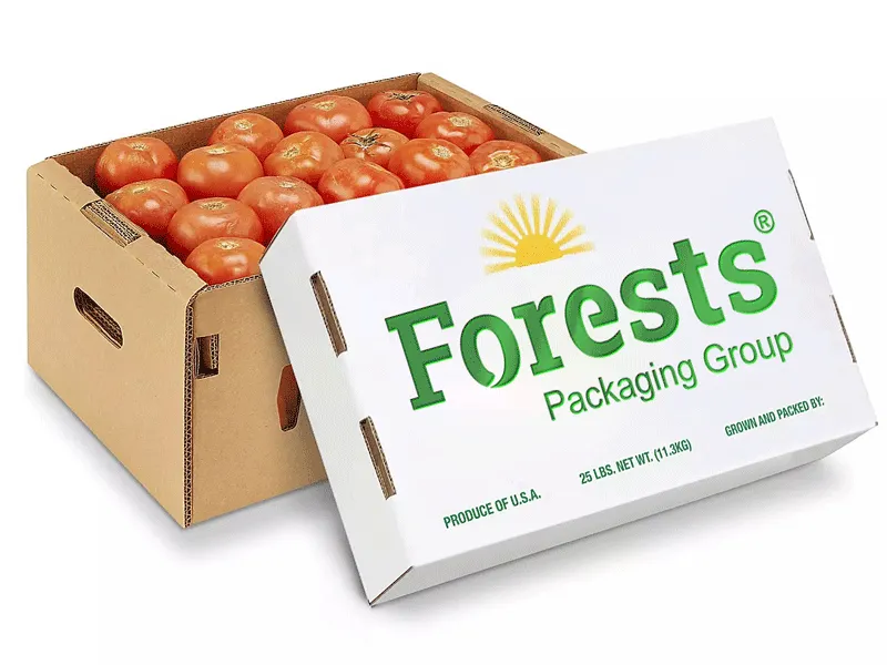Custom Packaging Manufacturer - Shanghai Forests Packaging Group
