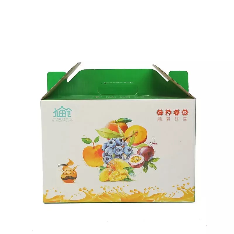 Factory Price Corrugated Fruit Packaging Box with Handle-Forests