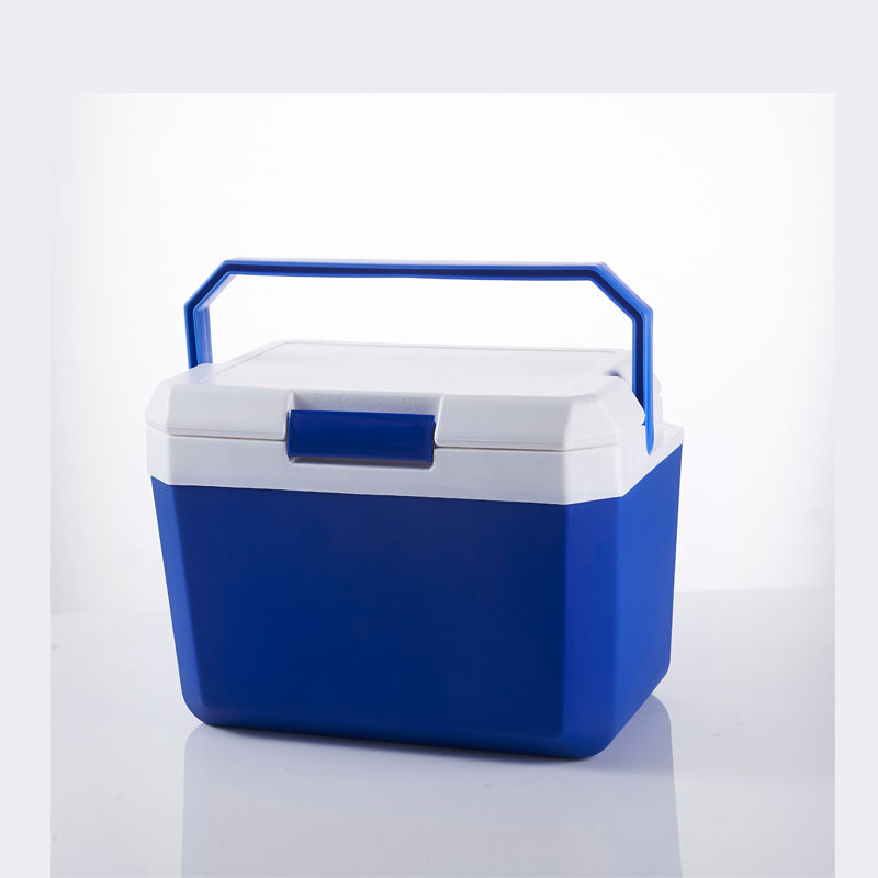 8L Cooler Box-SINOVOE INTERNATIONAL LIMITED