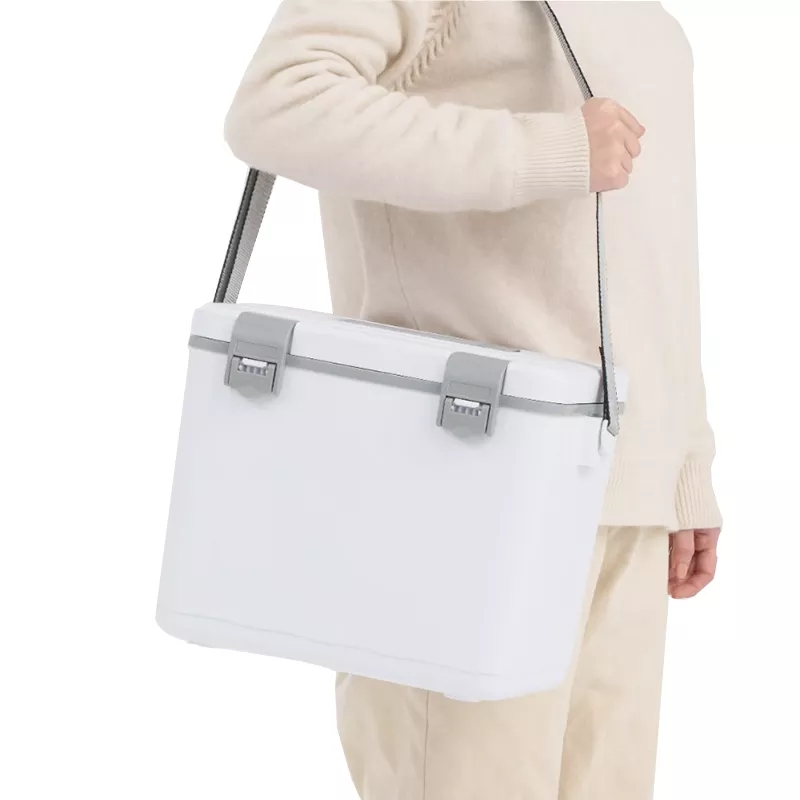 10L Cooler box-SINOVOE INTERNATIONAL LIMITED