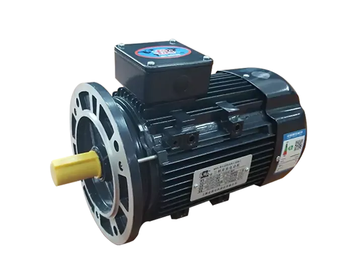 GW IEC Metric YSJ Series Three-Phase Motors - GW ELECTRIC (SHAN
