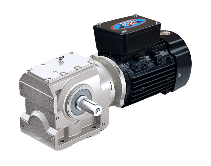 Gear motor - GW ELECTRIC (SHANGHAI) CO , LTD.