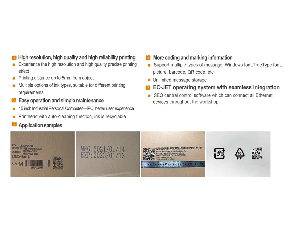 LARGE CHARACTER, HIGH RESOLUTION PRINTERS ECH 500 & 501 - BCS ...