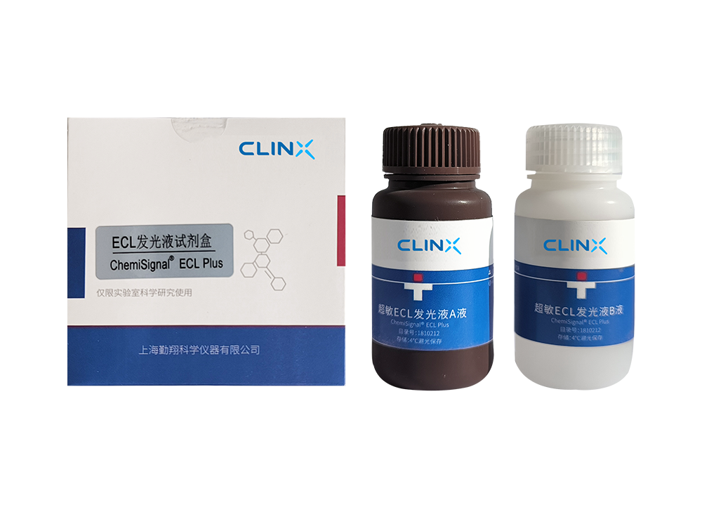 ECL Luminescent Solution Kit: High - Quality Luminescent Solution for ...