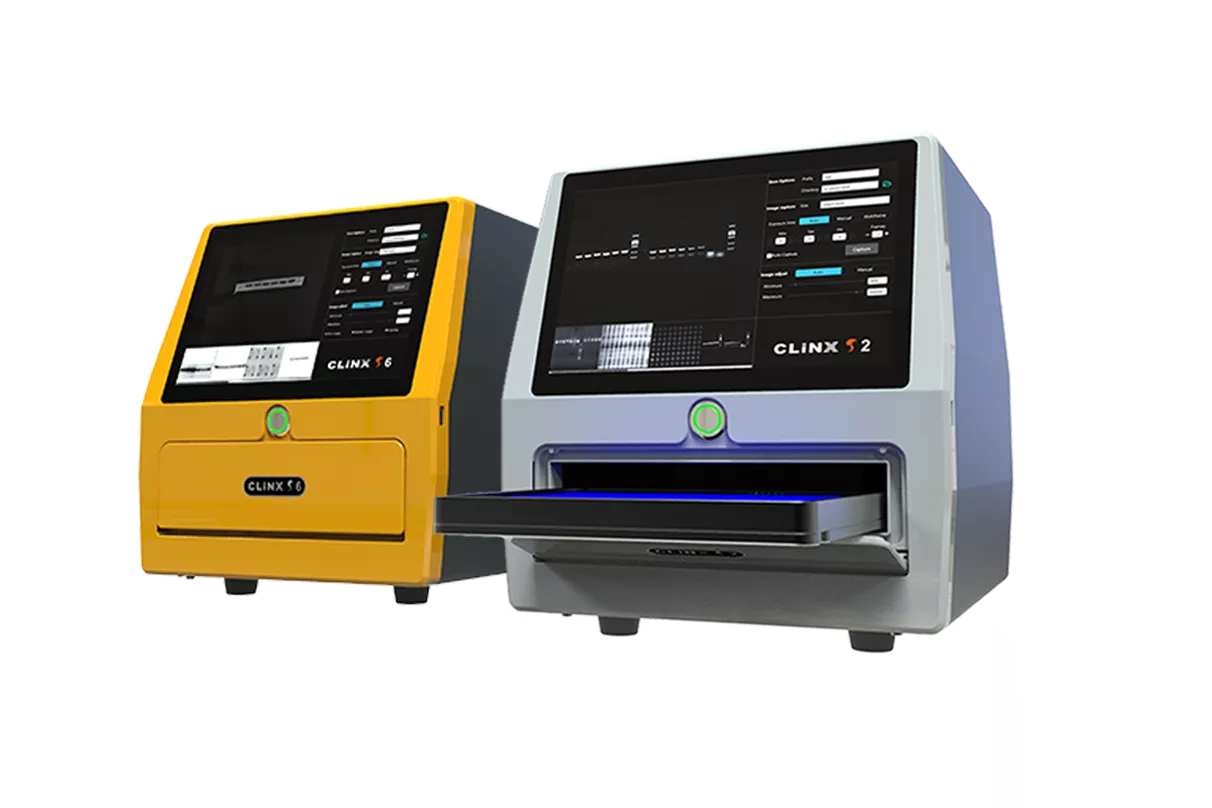 Gel documentation | Chemiluminescence imaging | Electrophoresis - A ...