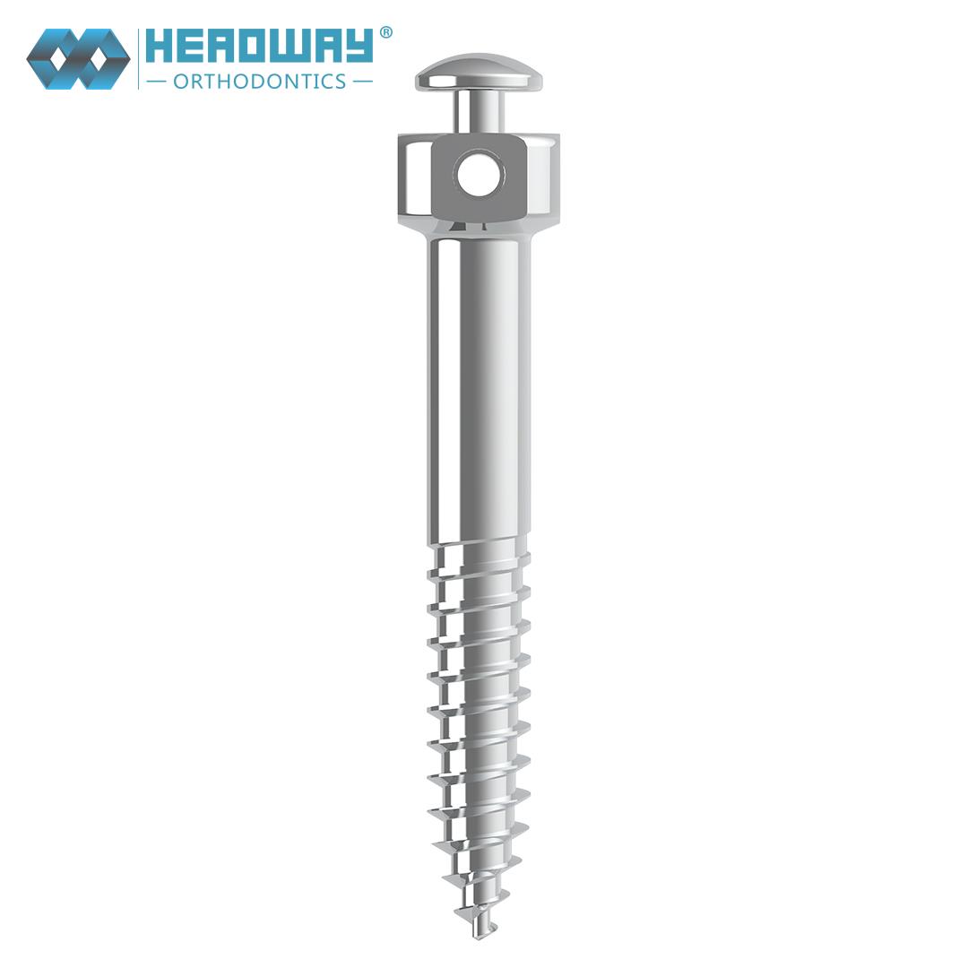 Orthodontic Micro Screw (Stainless Steel) for Infrazygomatic Crest (IZC ...