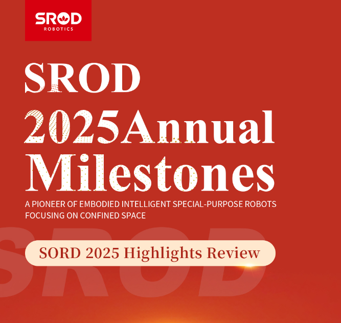 17 Years of Dedication: SROD Industrial Group's 2025 Highlights and ...