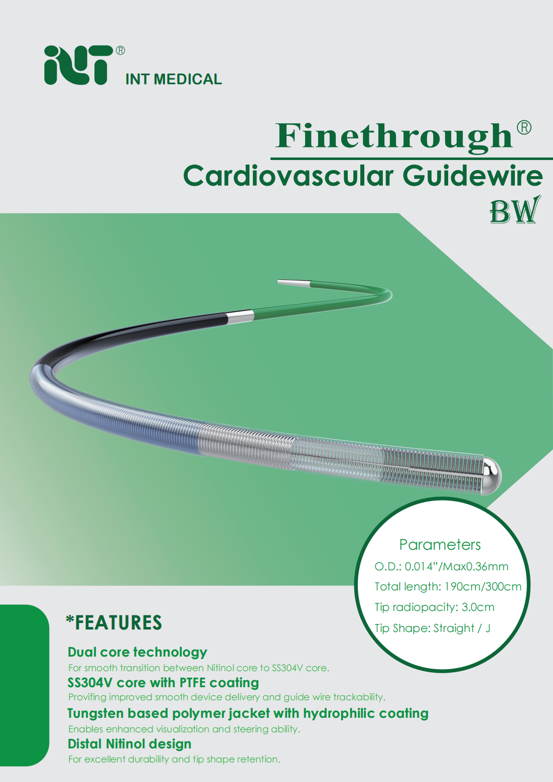 Cardiovascular Guidewire BW-INT