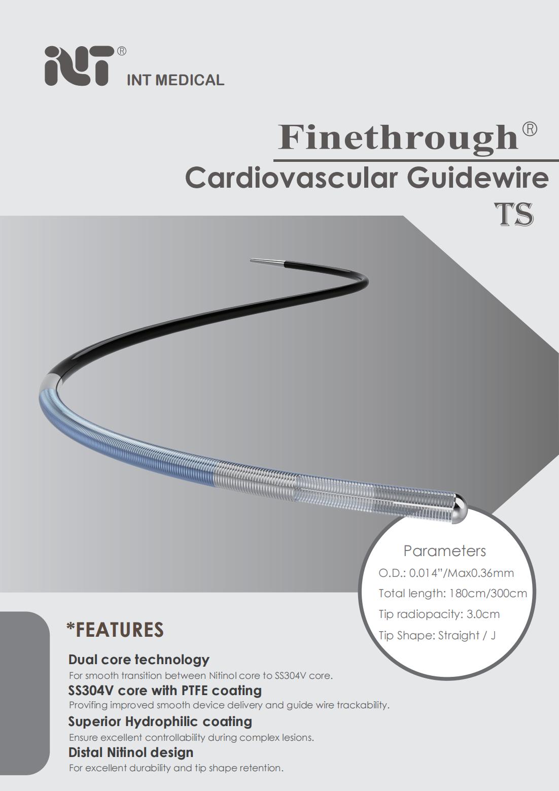 Cardiovascular Guidewire TS-INT