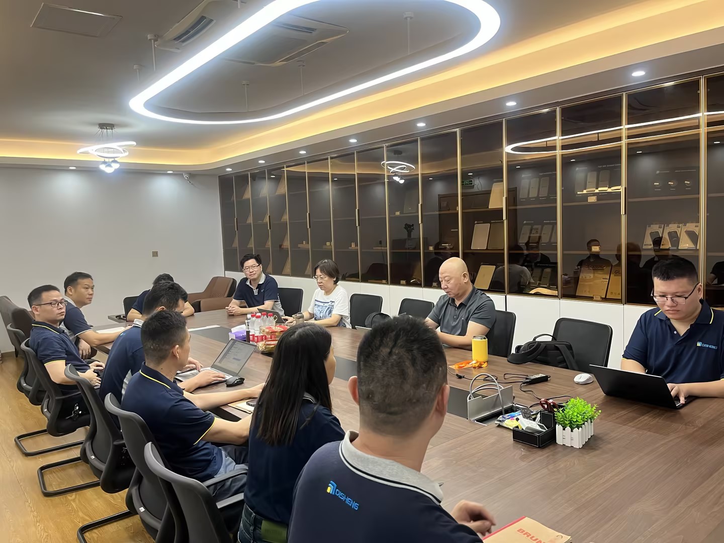 Disheng has passed the ISO audit in 2024-Dongguan Disheng Technology ...