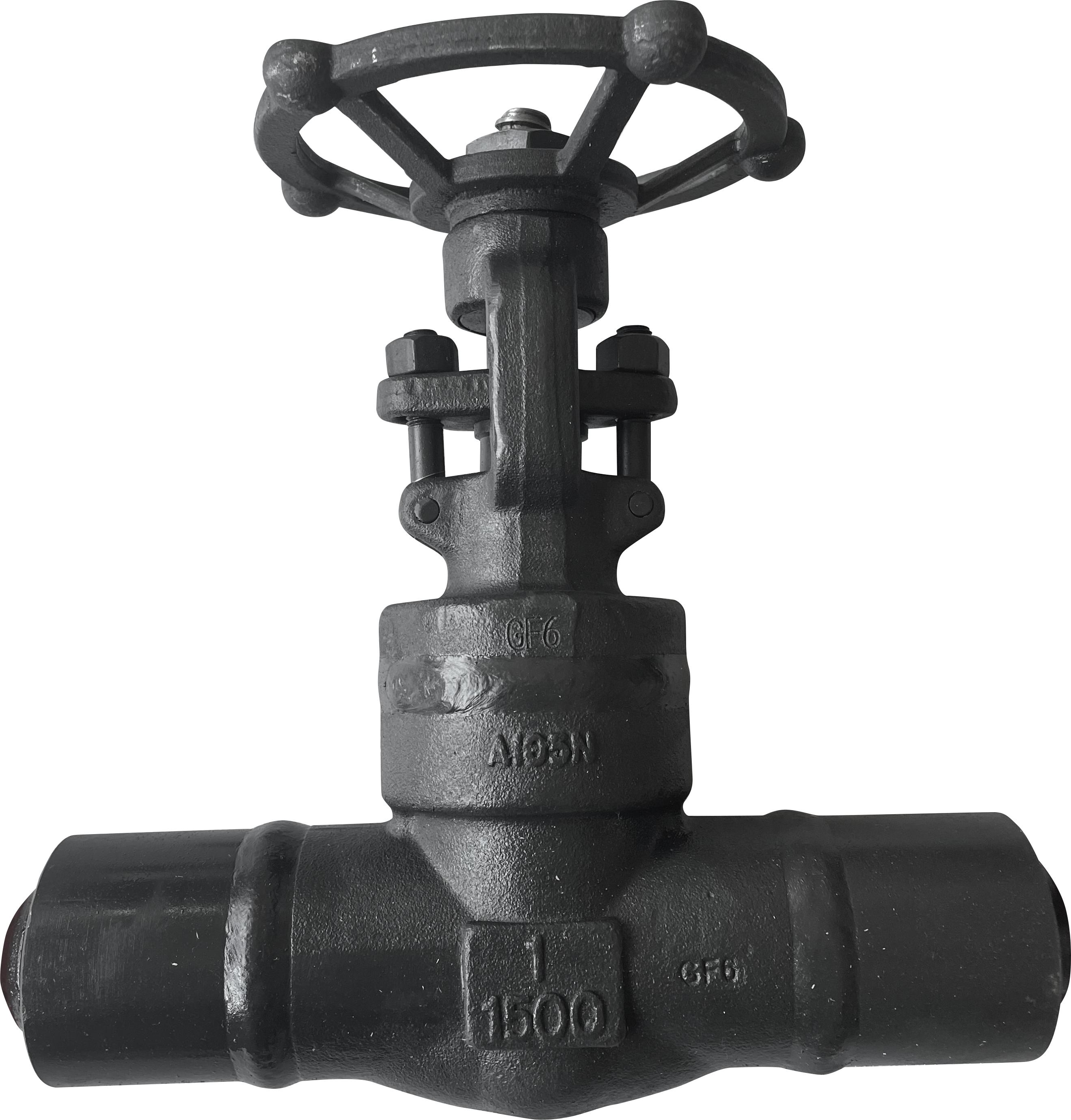 Forged Gate Valve Extended body bonnet-MERCURY