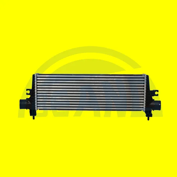INTER COOLER BPIC-1062-Ruian Beand Auto Parts