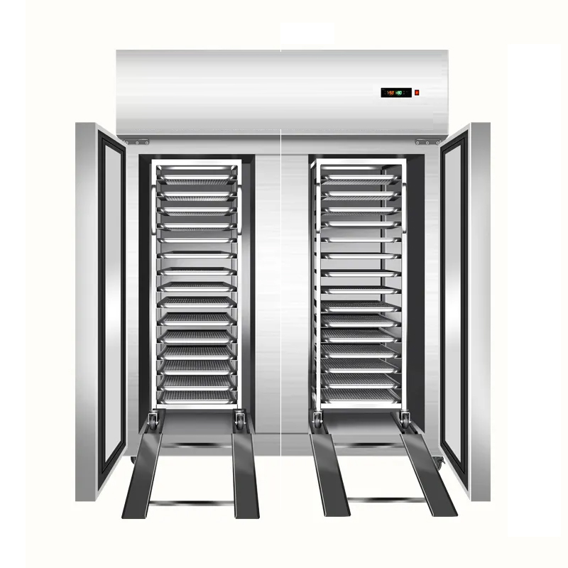 1 And 2 Rack Trolley Capacity Blast Freezer--