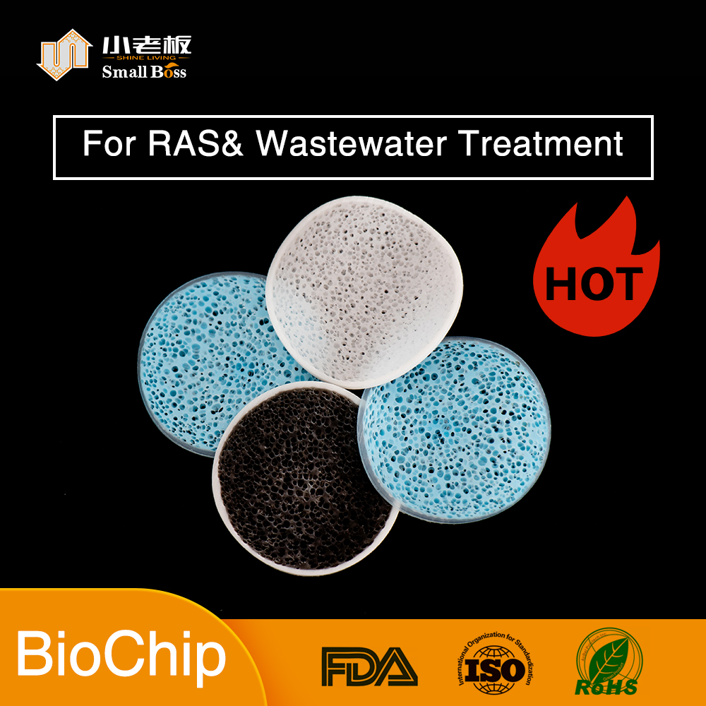 Biochip for Recirculating Aquaculture System-Small Boss