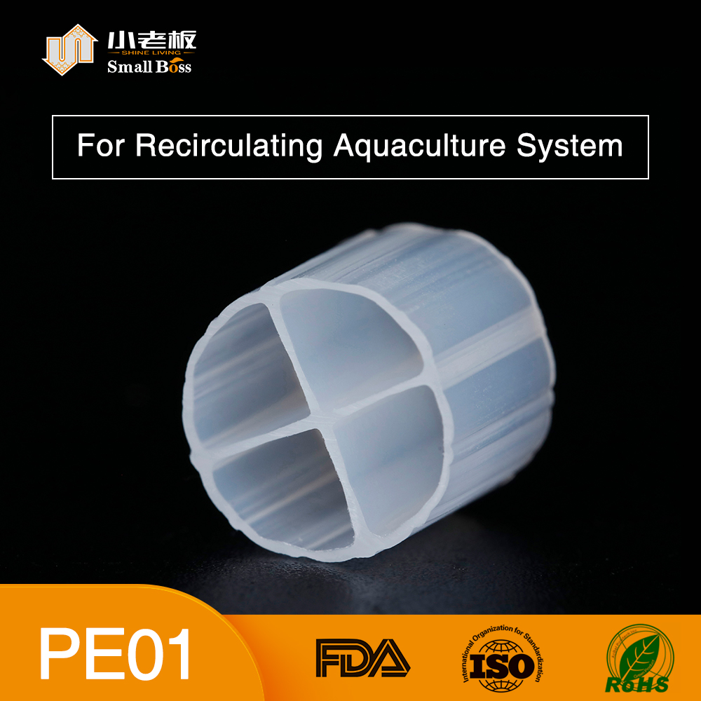 Bio Media PE01 for RAS-Small Boss