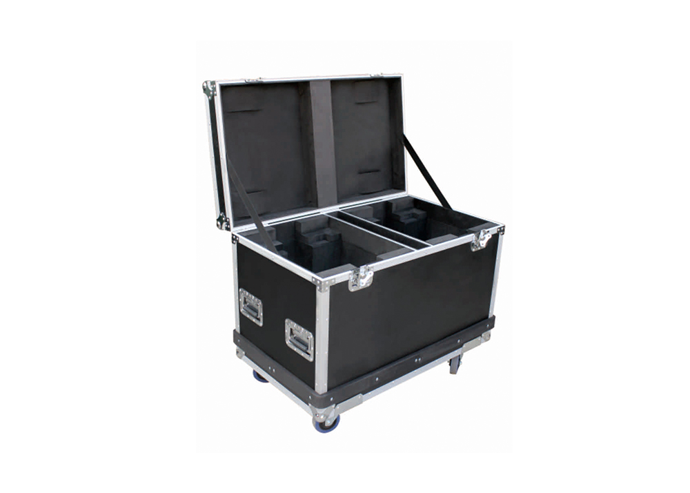 DUAL LIGHTS CASE-T-Brisun