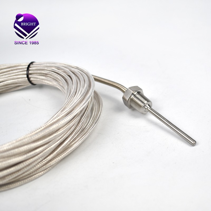 Temperature Sensor With Built-In Pt100 Platinum RTD-BRIGHT