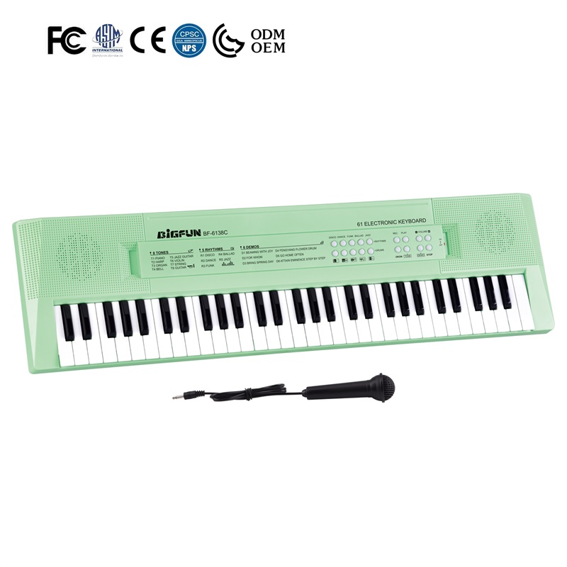 61 Keys Electronic Keyboard with Microphone Green- Aiqian Electronic ...