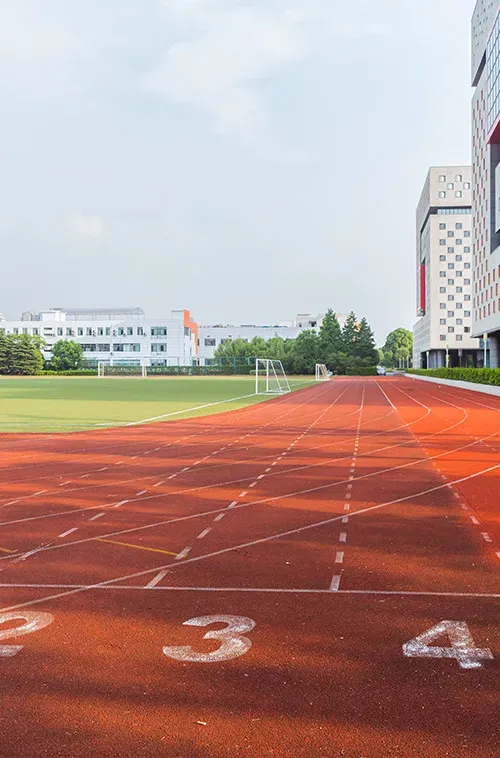 DEA,Entrenador DEA,Accesorios-médico