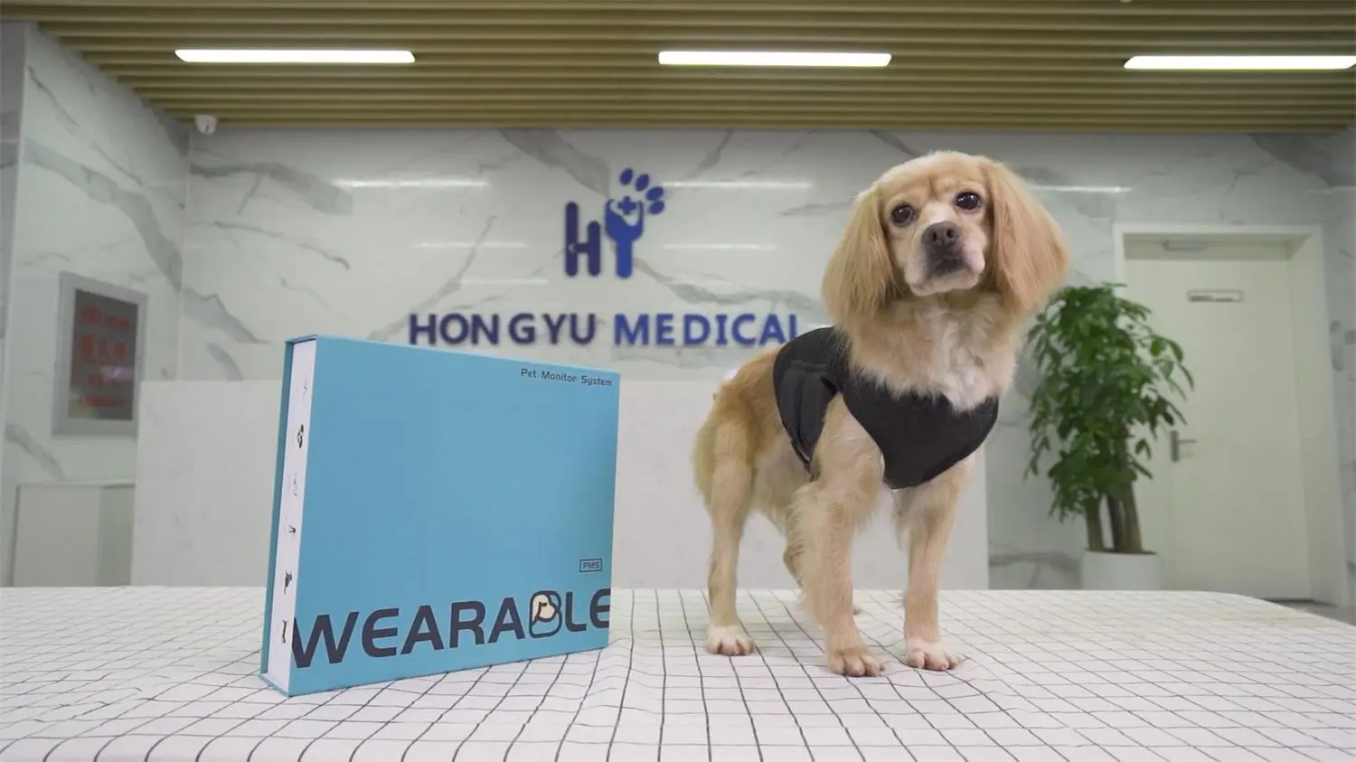 Introduction-Shanghai HongYu Medical