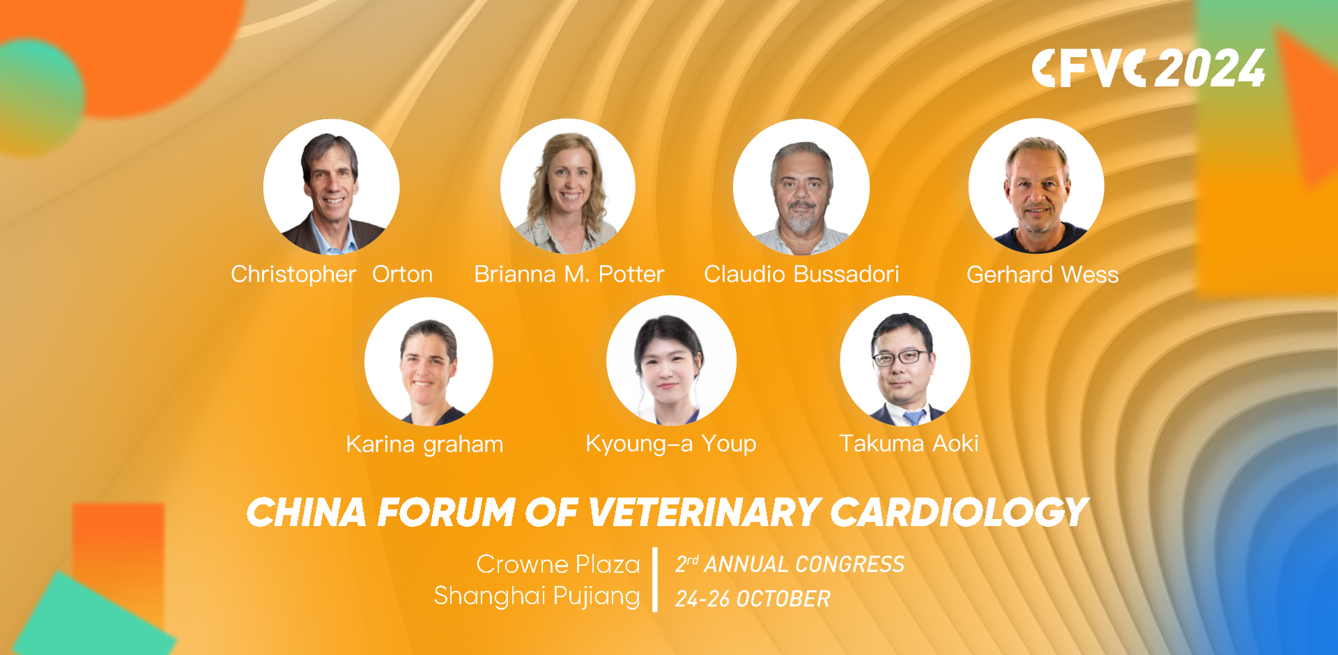 V-Clamp,HongyuMedical,Mitralvalveregurgitation-Shanghai HongYu Medical